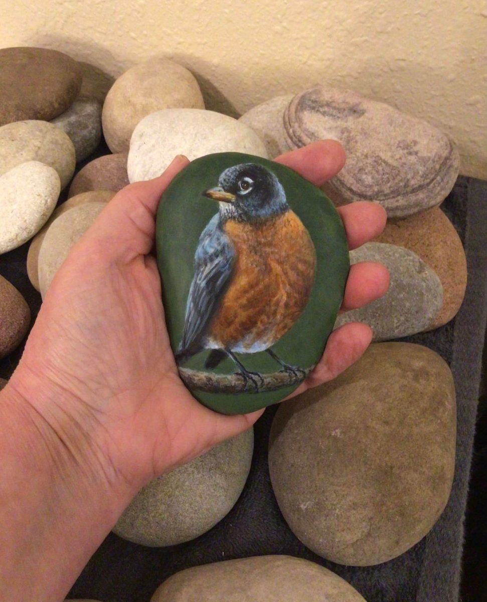 Robin - acrylic, in 7- Rock Art